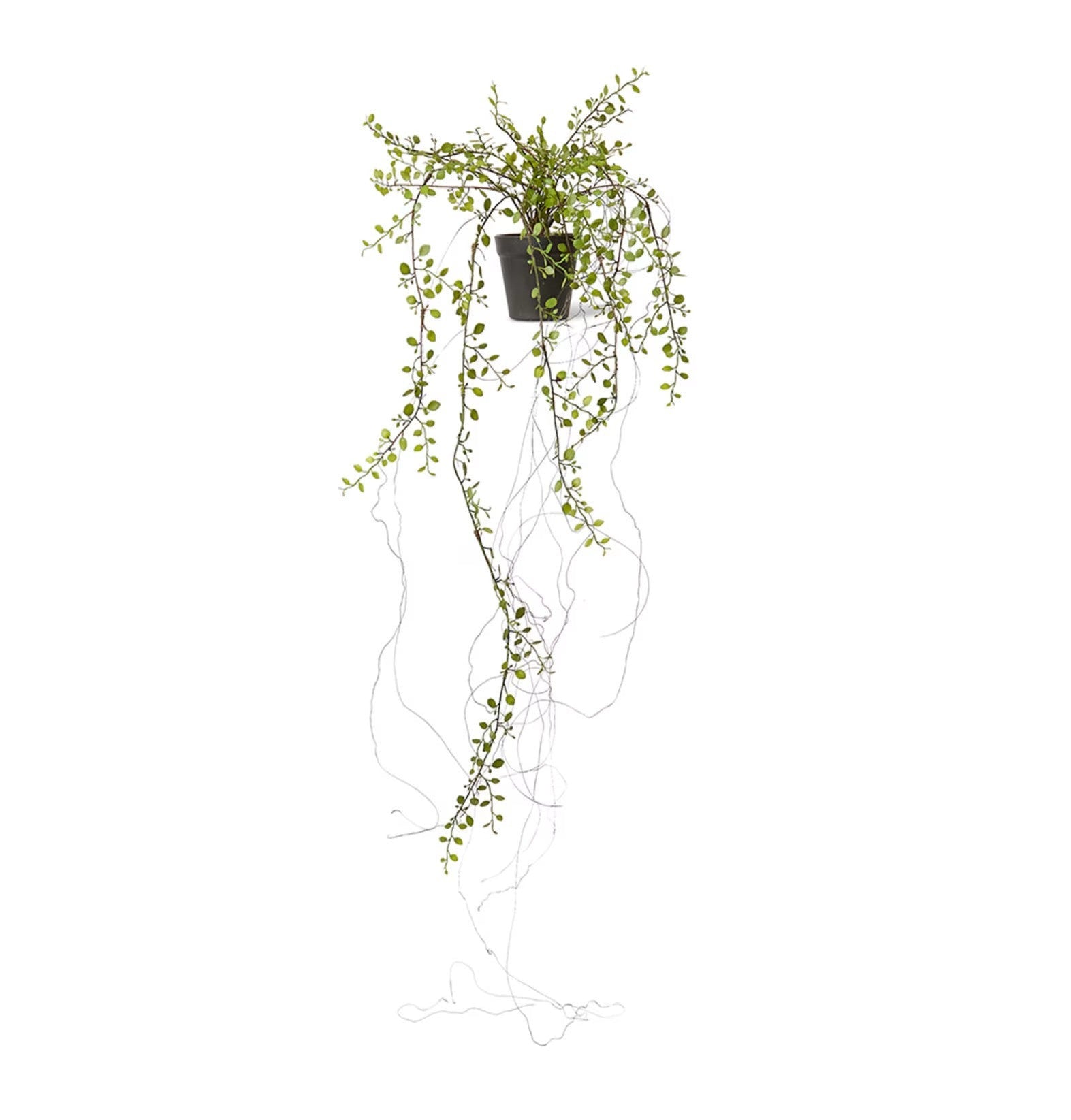 Cascade Vine Hanging Bush — Biku Furniture & Homewares