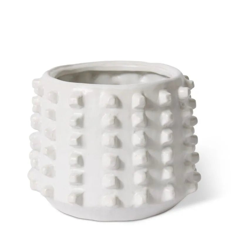 Alabaster Juniper Pot — Biku Furniture & Homewares