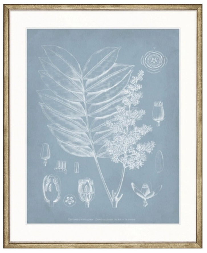 Wall Art & Wall Prints | Wall Decor — Biku Furniture & Homewares